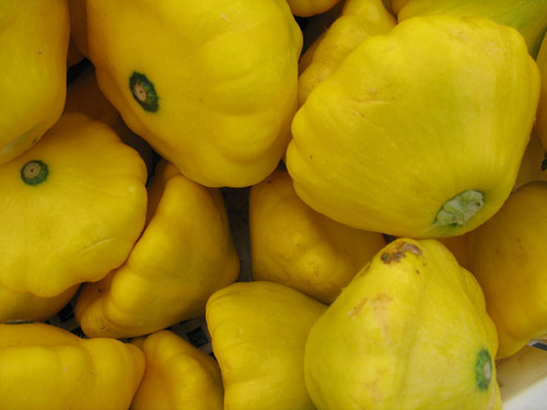 Vegetables - Summer Squash - Page 2 - Holmes Seed Company