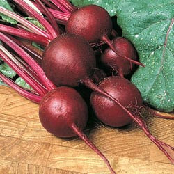 Vegetables - Beets - Page 1 - Holmes Seed Company