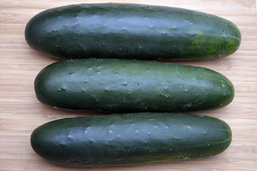 Cobra F1 Cucumber - Holmes Seed Company