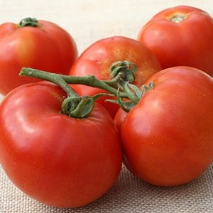 Camaro F1 Tomato - Holmes Seed Company