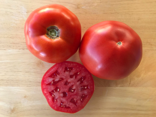 Sugar Rush F1 Tomato - Holmes Seed Company