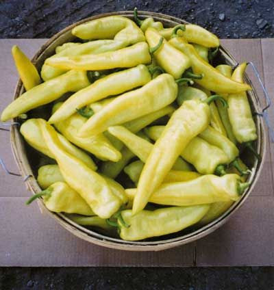 Sweet Savannah Banana Pepper Seeds | Holmes Seed Company