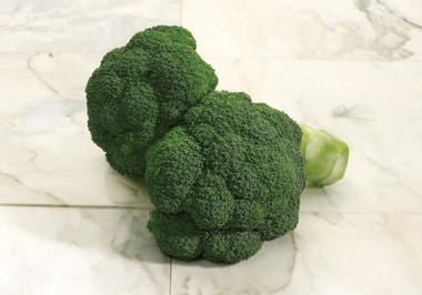 Imperial F1 Broccoli Seeds | Holmes Seed Company