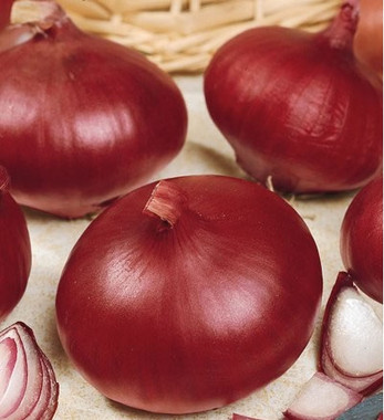 red onion from