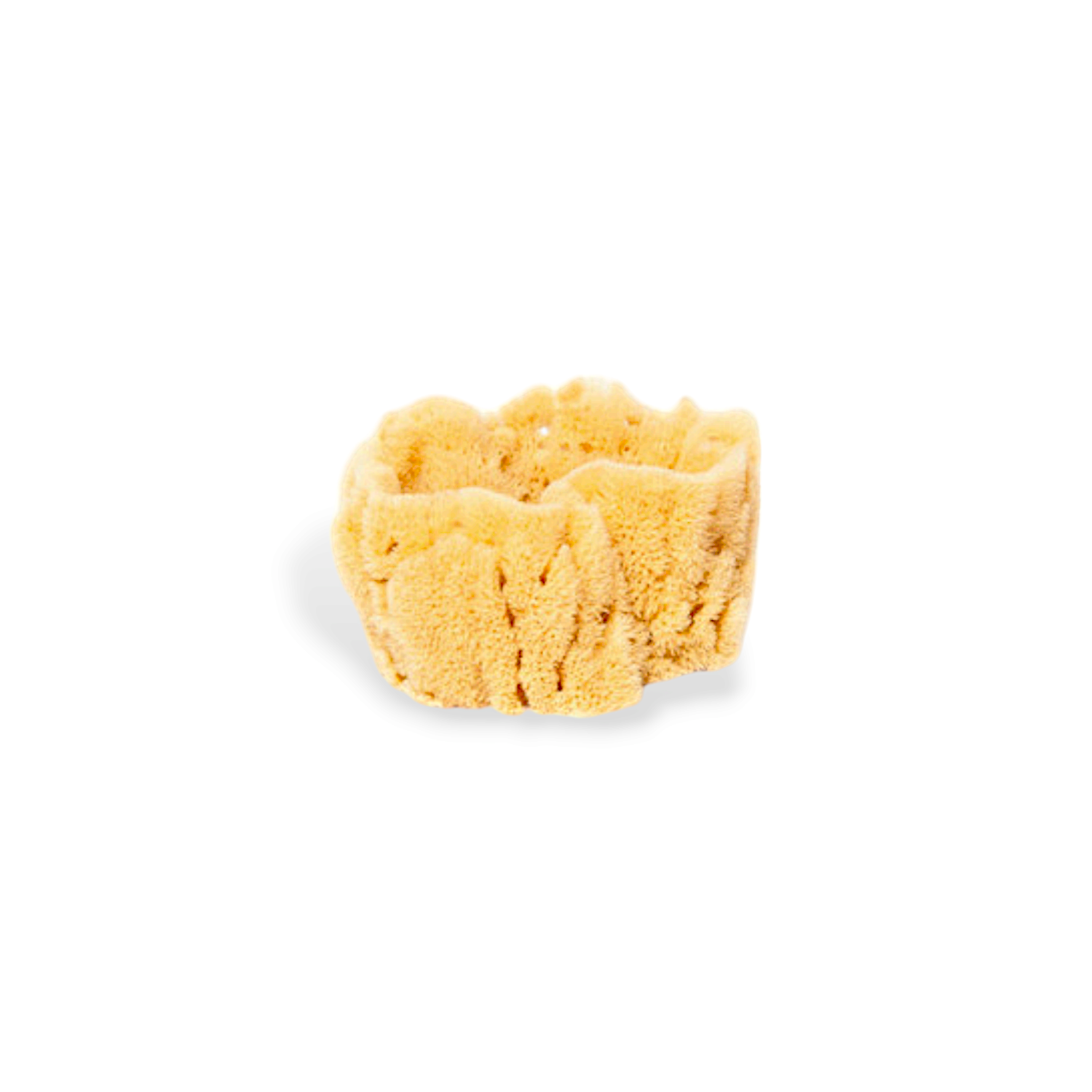 Vase Sponges - Aphrodite Skin Care