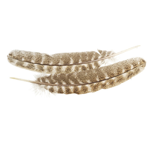 Wapsi Turkey Wing Quill Mottled Oak