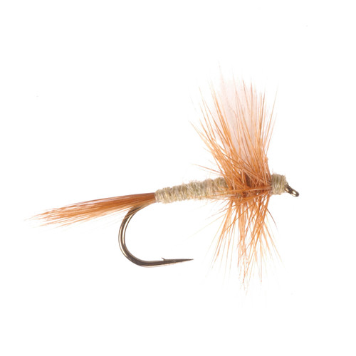 Pale Morning Dun Dry Fly