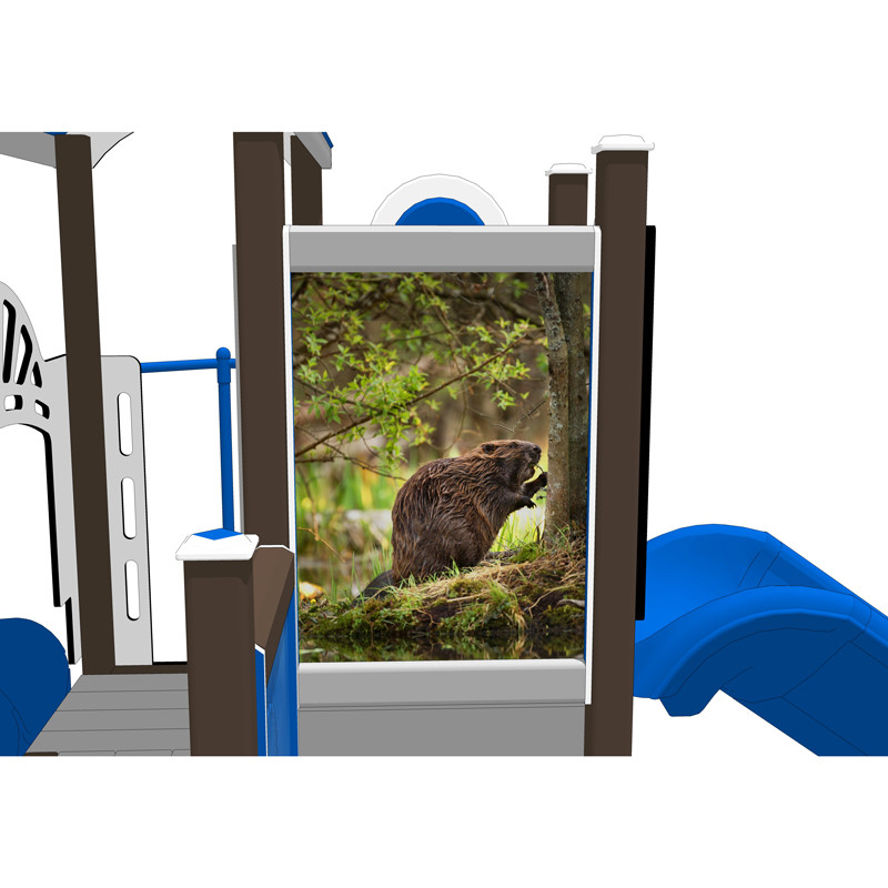 Beaver Play System