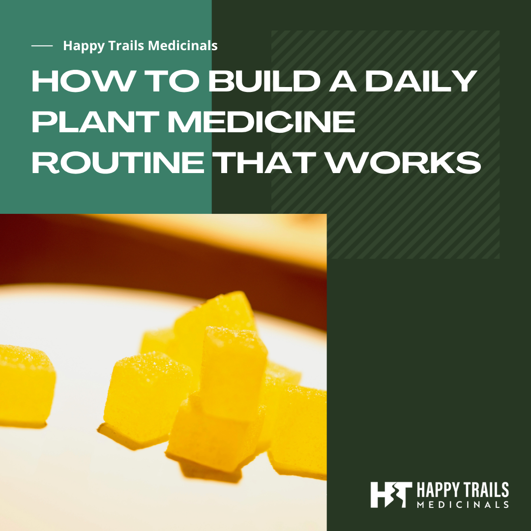 How to Build a Daily Plant Medicine Routine That Works - HappyTrails