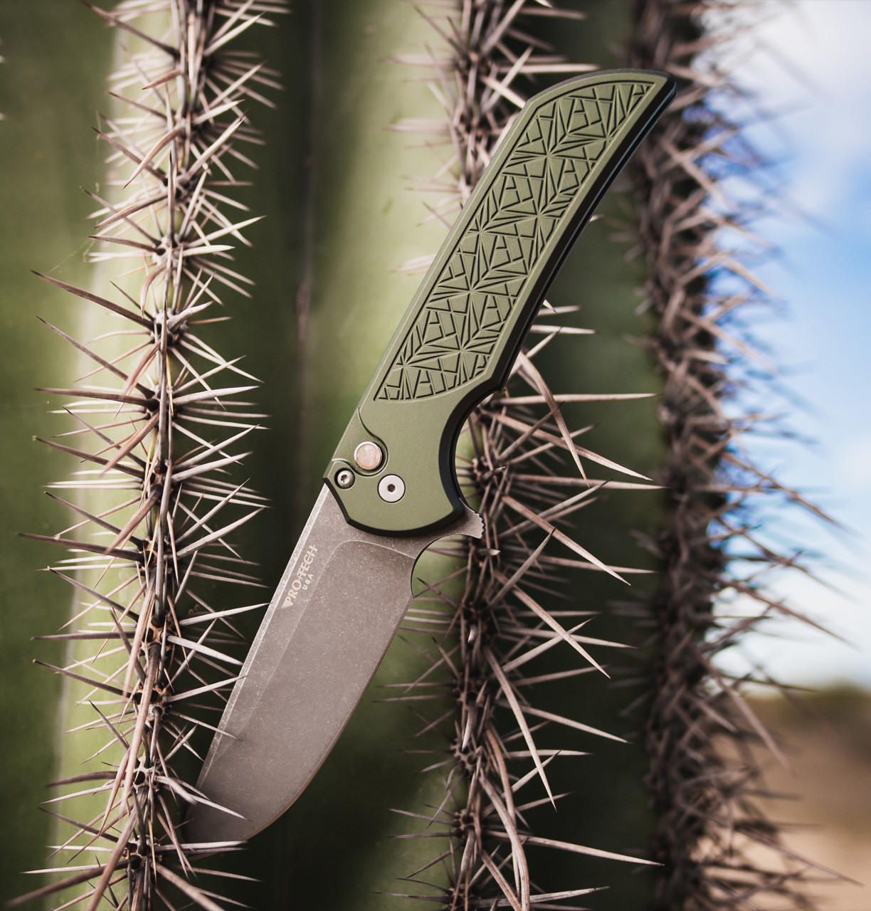 Mordax - 2026 Blade Show Texas.1 Knife | Pro-Tech Knives