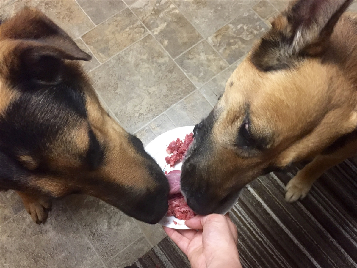 Ground Rabbit Meat, Organ & Bone from RawDelivery Natural Pet Food and ...