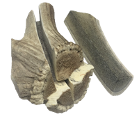 Antler - Elk Quarter Split 5.5" from RawDelivery Natural Pet Food and ...