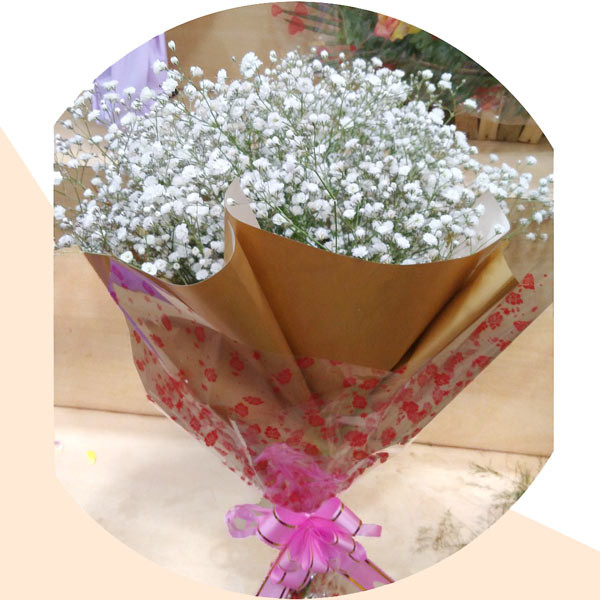 Gypsy Flowers Bouquet (Baby Breath Gypsophila Muralis) Flowers Gift to ...