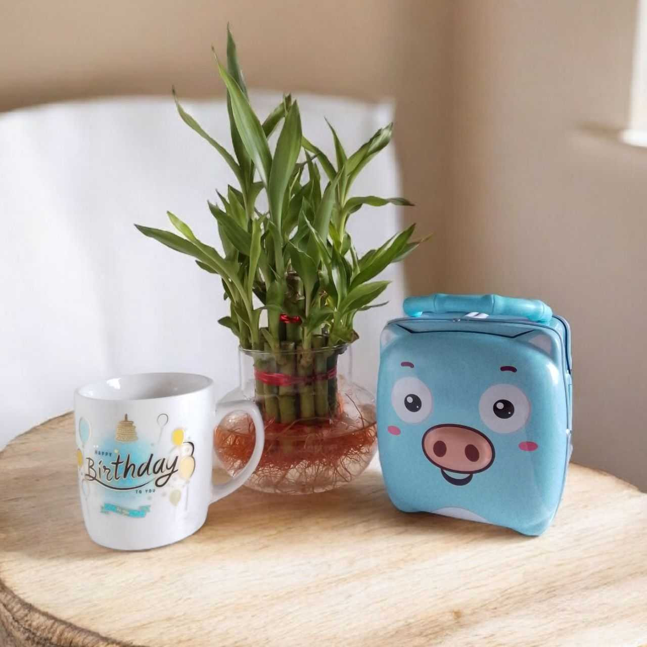 Coin Box, Birthday Mug & Bamboo Plant Gift Set