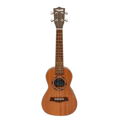Acoustic Dream Maker Portable Ukulele Musical Instrument Gift to Nepal ...