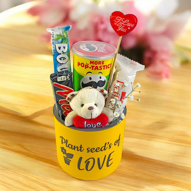 Chocolates, Pringles & Teddy Bear Combo in a Cute Pot Valentine's Day ...