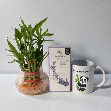Refreshing Nature & Fragrance Gift Set