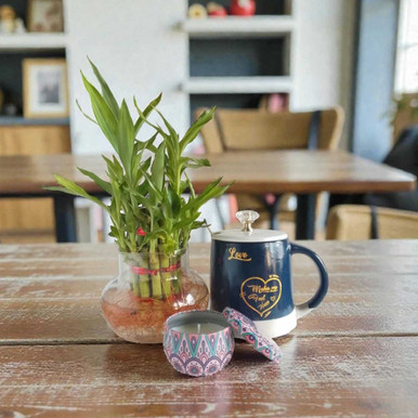 Charming Gift Set with Plant, Candle & Mug