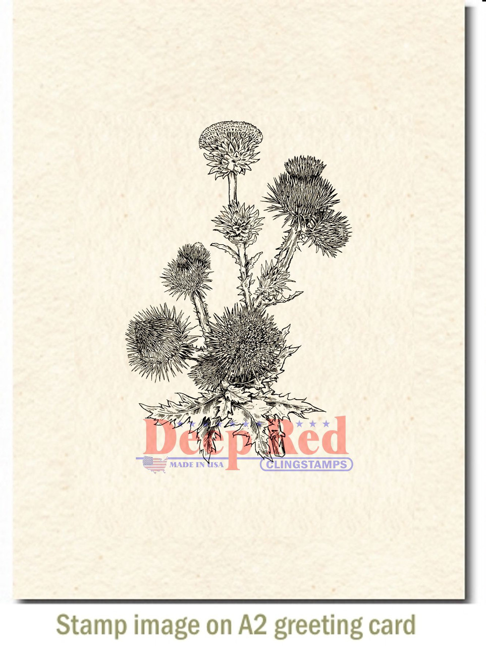 Thistle Rubber Cling Stamp - Deep Red Stamps