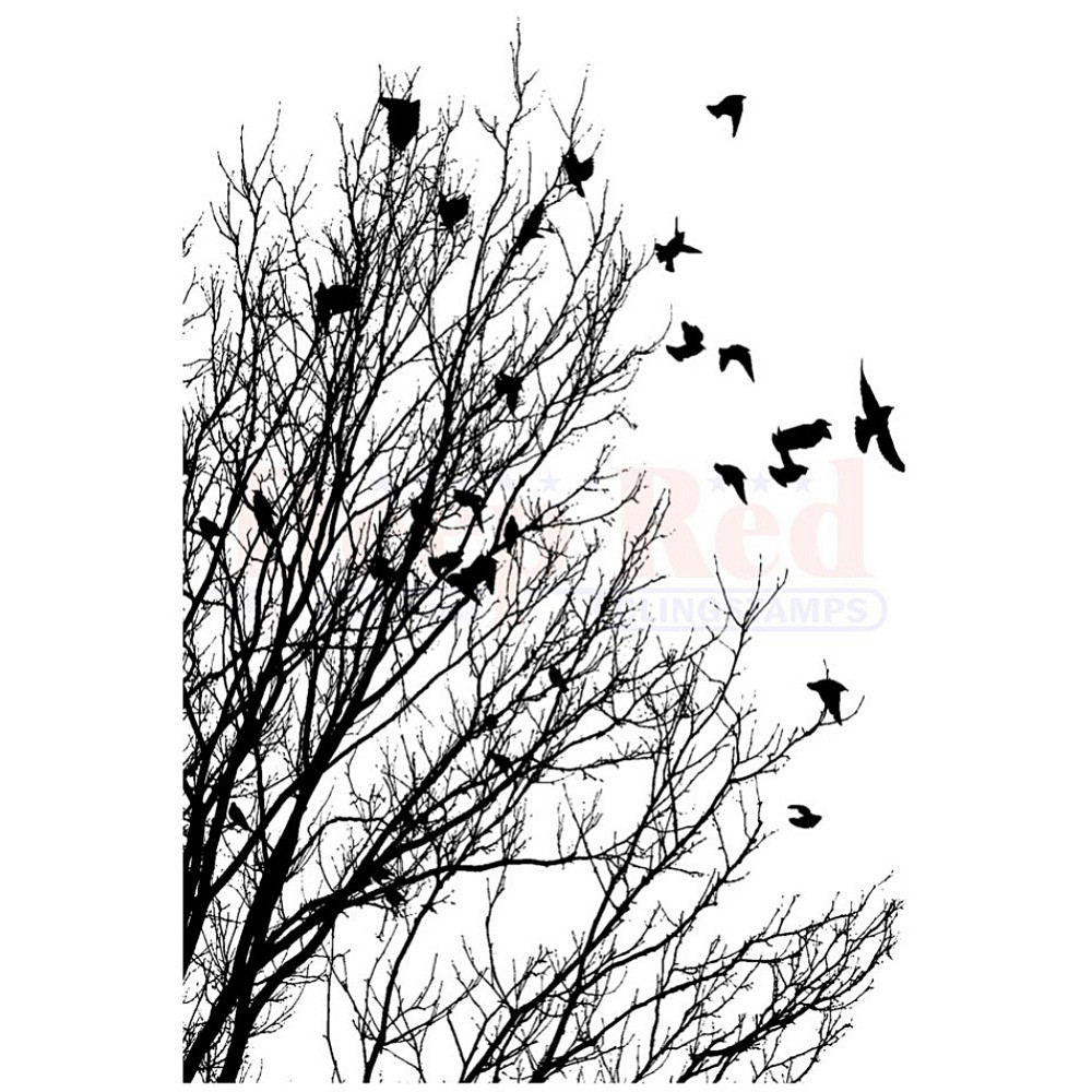 Raven Flock Drawings