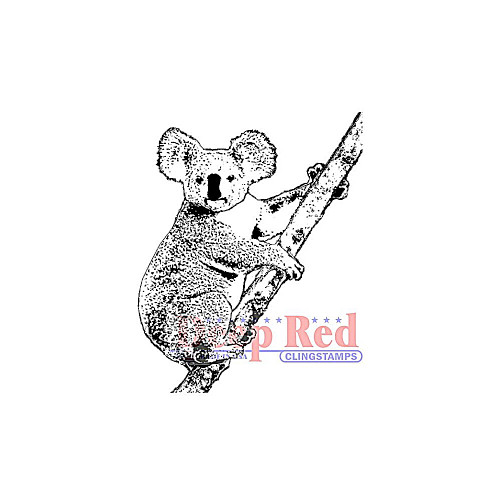 Koala Bear Rubber Cling Stamp