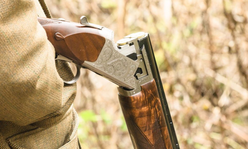 The Echo of the Hunt: A Journey Through the History of the Shotgun ...