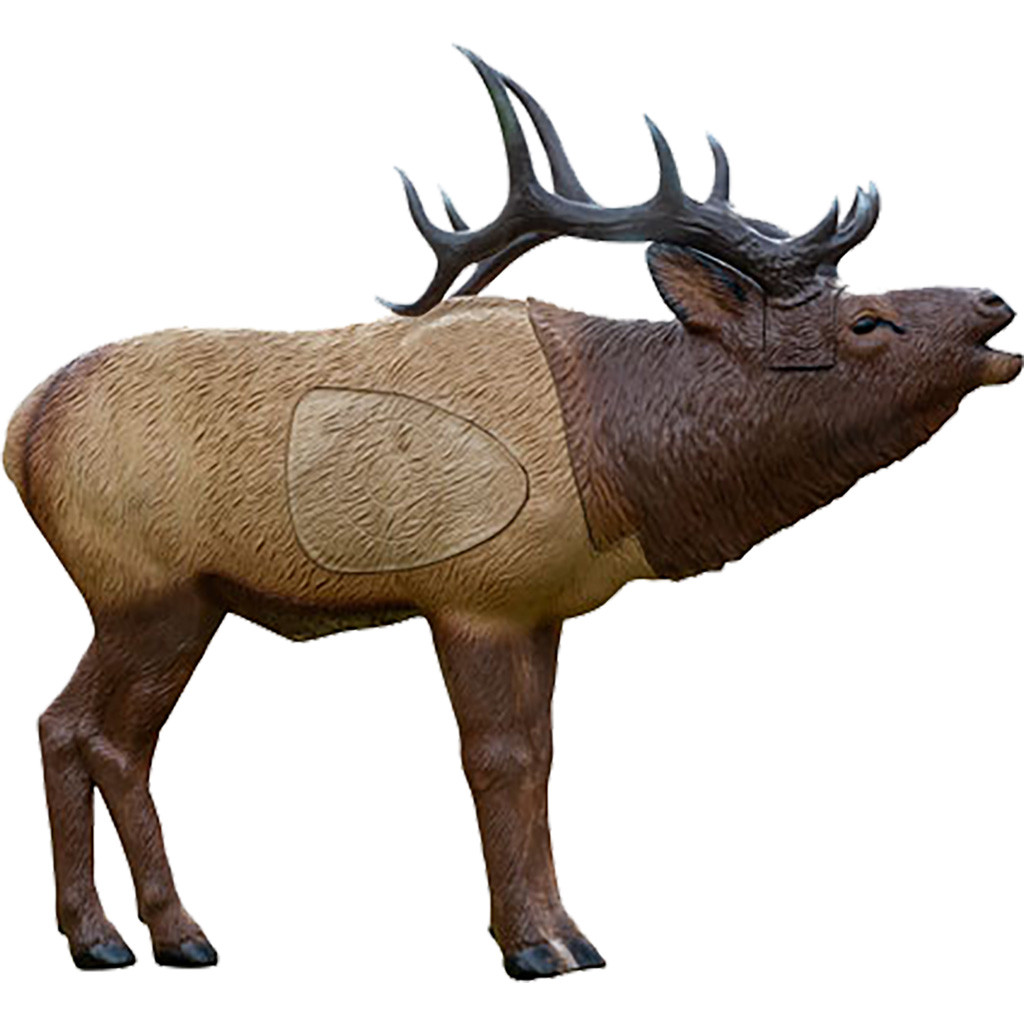 3D Targets | Bowhunters Superstore