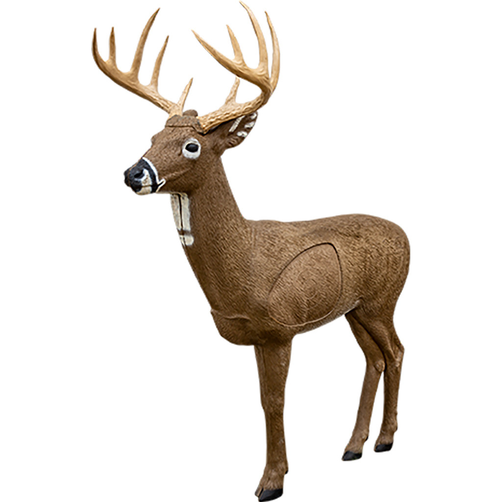 3D Targets | Bowhunters Superstore