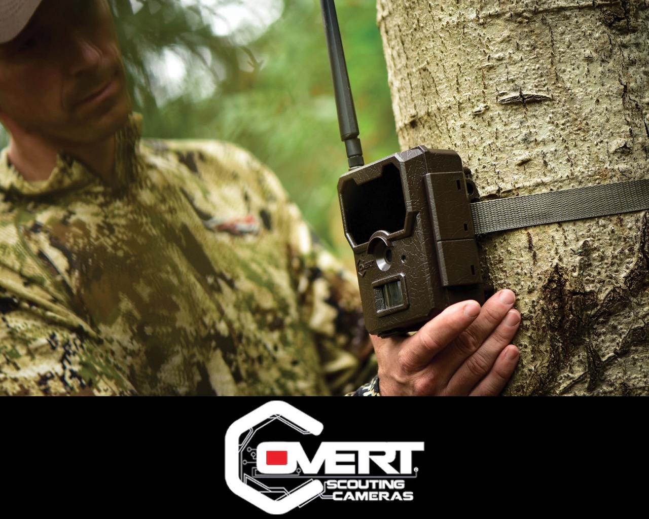 Archery Equipment, Hunting Supplies, Gear | Bowhunters Superstore