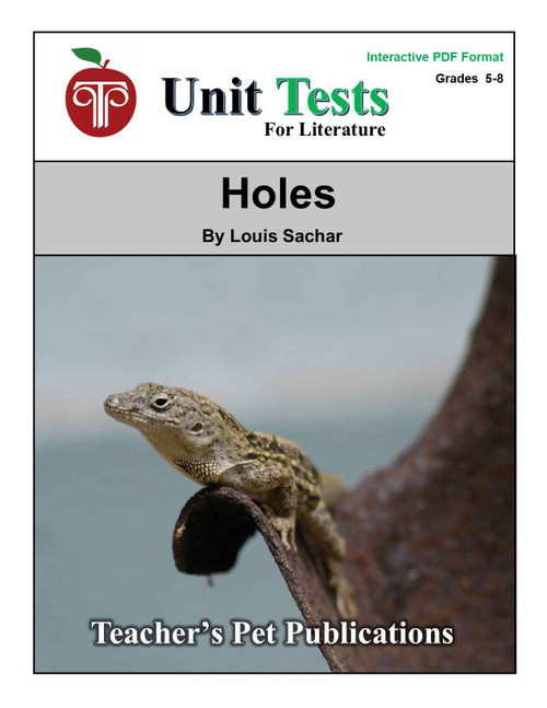 Holes Unit Test Interactive PDF Google Classroom