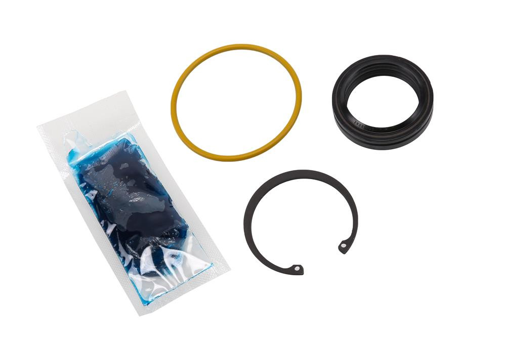 GM Genuine Parts Steering Gear Pitman Shaft Seal
