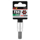 Performance Tool 3/8" Dr. T55 Star Bit Socket