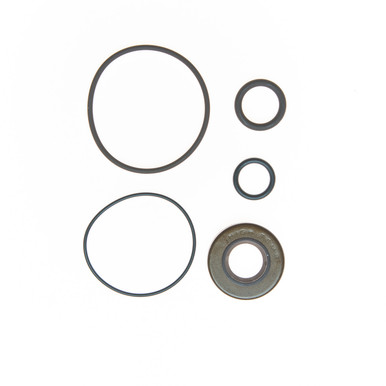 Edelmann Pump Seal Kit