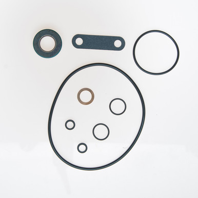 Edelmann Pump Seal Kit