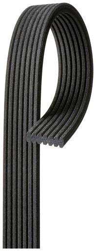 ACDelco Dual Sided V-Ribbed Serpentine Belt
