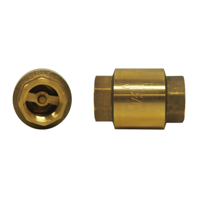 Fairview Brass Check Valve 1" Female NPT 250 PSI