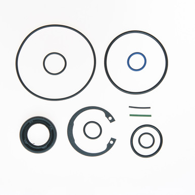 Edelmann Pump Seal Kit