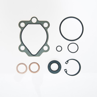 Edelmann Pump Seal Kit