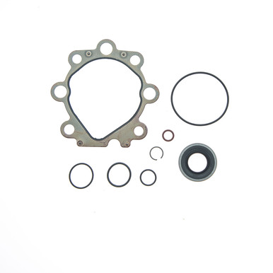 Edelmann Pump Seal Kit