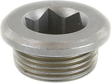 Rein Differential Oil Drain Plug