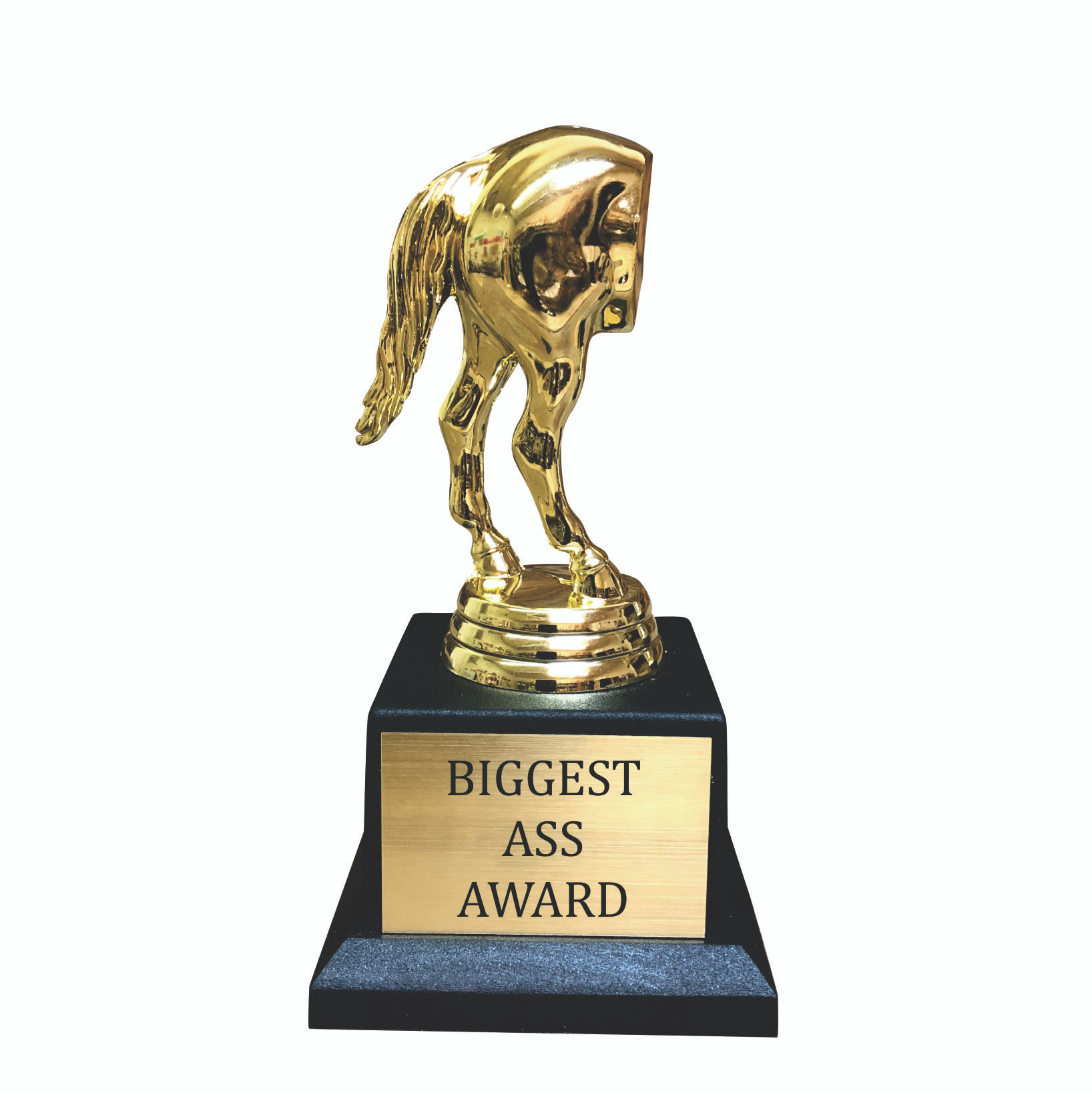 Jackass Trophy | Funny Gag gift for that joker in your life.