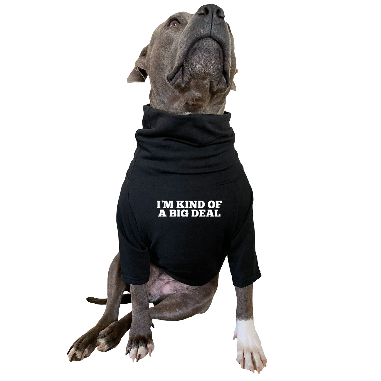 I M KIND OF A BIG DEAL Dog Cowl Tee Funny Dog Shirt