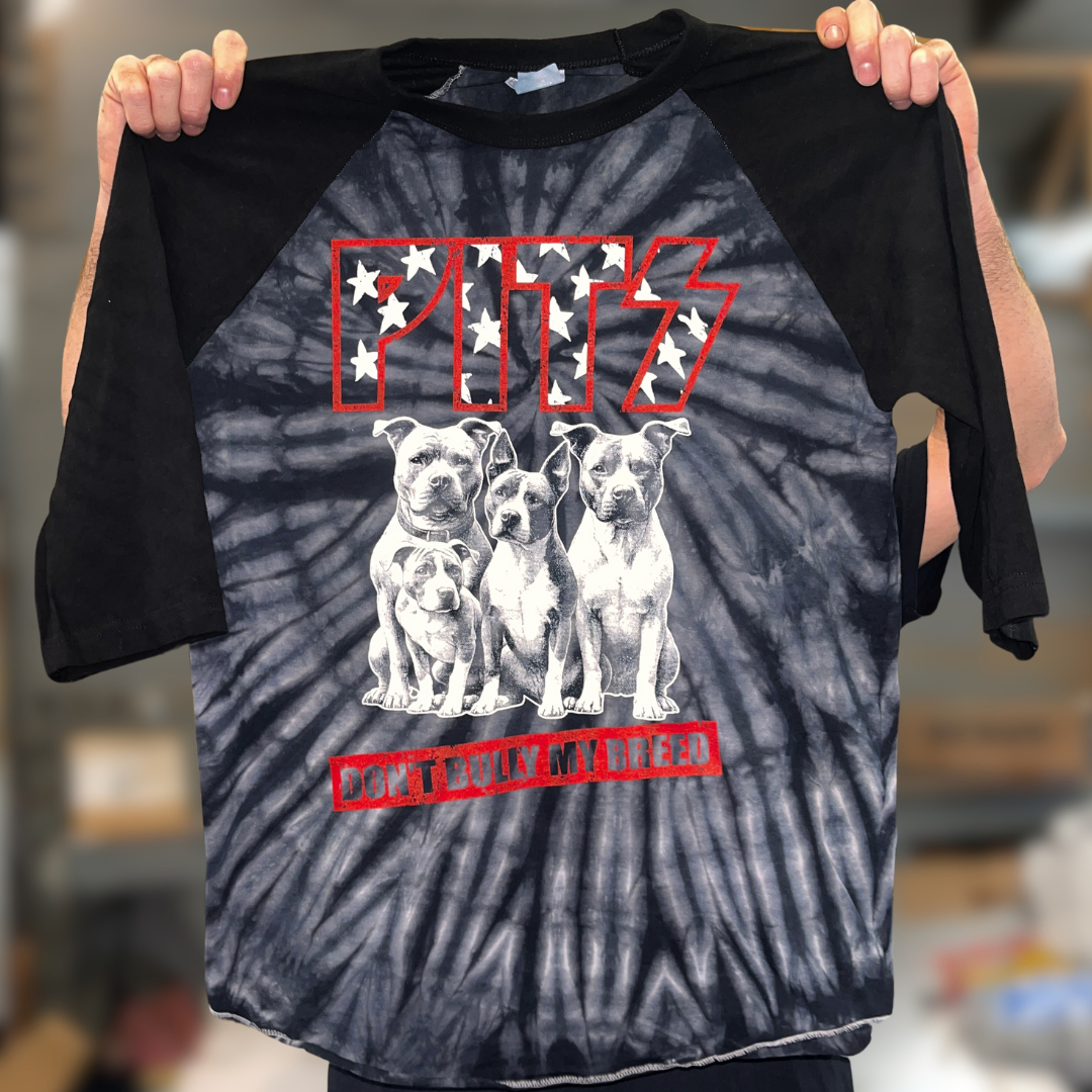 PITS Clothing Swirl Raglan - Urban Suburban Apparel