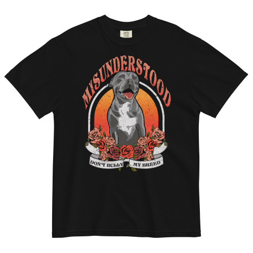 VINTAGE MISUNDERSTOOD Unisex garment-dyed heavyweight tee