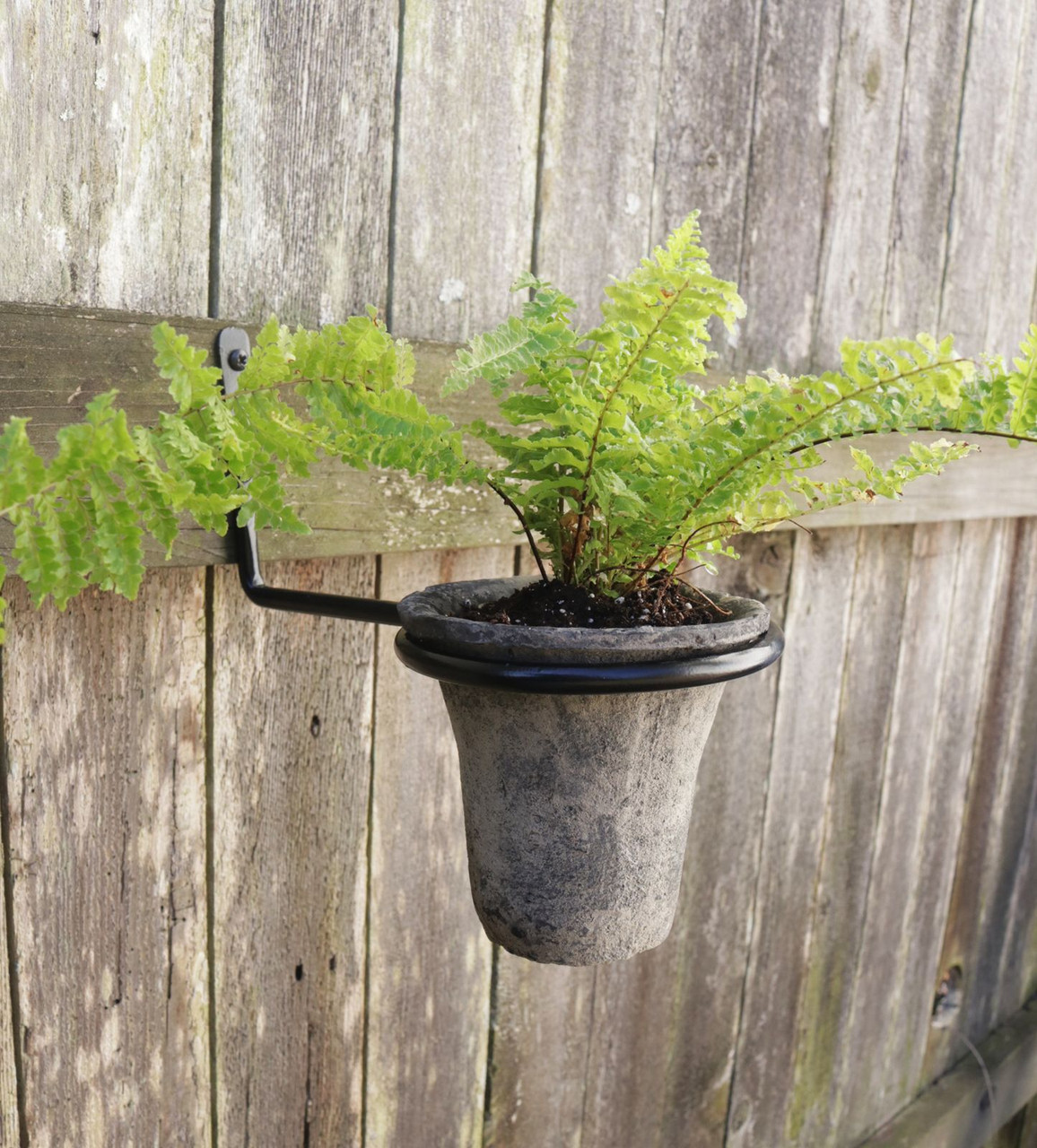Flower Pot Rings - 4", 6", 8" and 10" diameters - wrought iron