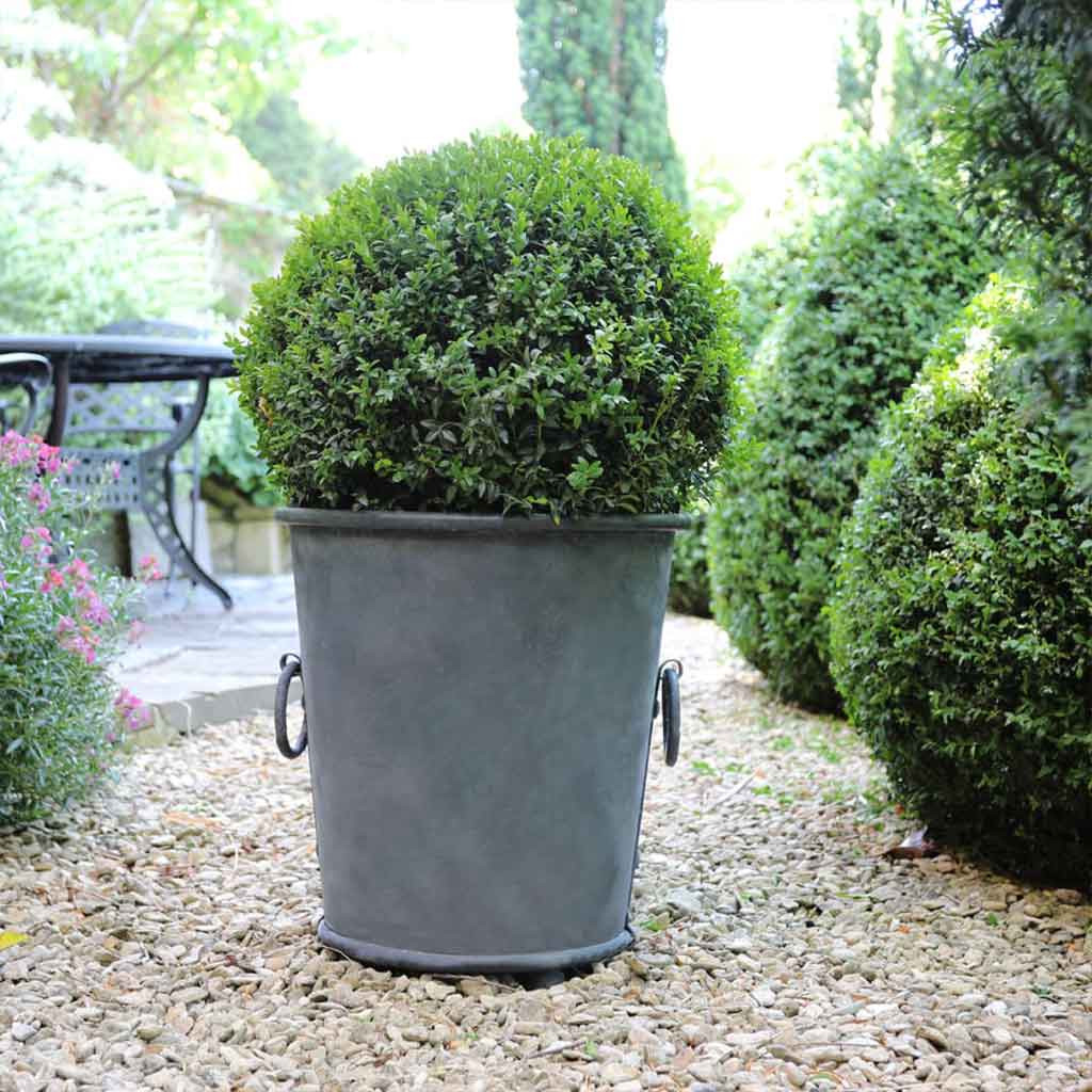 Classic Zinc Planter (iron construction)