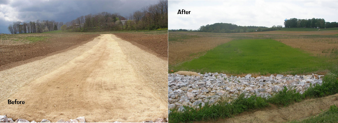 Curlex® I - 4' and 8' wide rolls - 15 roll minimum