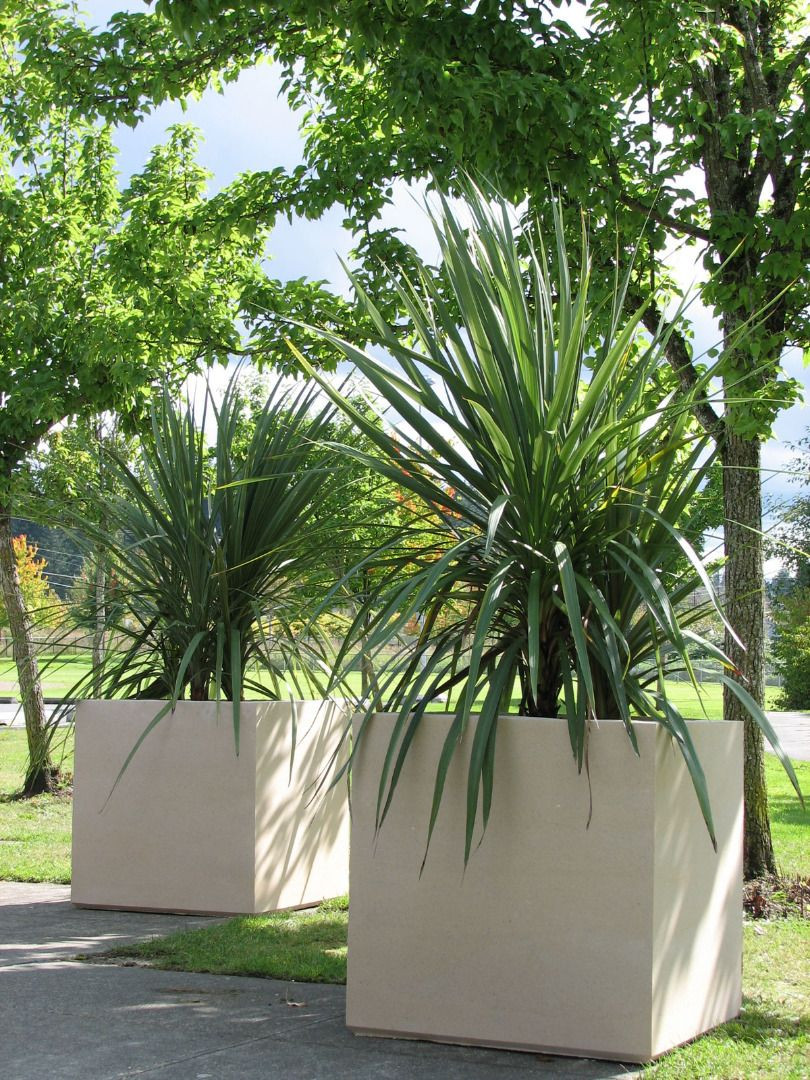 Warwick Box & Trough Cast Stone Planters