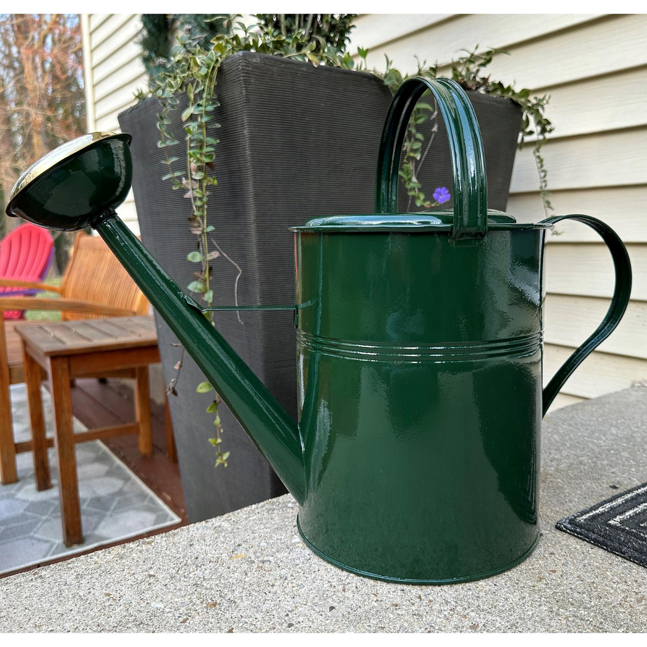 Green Galvanized European Double Grip Watering Can – 2.6 Gal