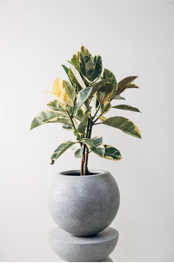 Artemis Round Fiberstone Planter 3 sizes 8 colors